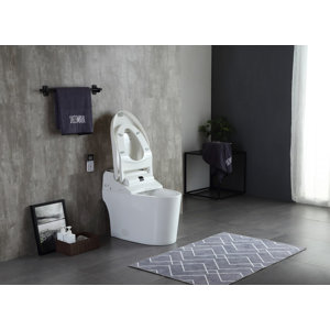 RunFine Group 1.28 GPF Elongated Floor Mounted Bidet Toilet (Seat Included) | Wayfair